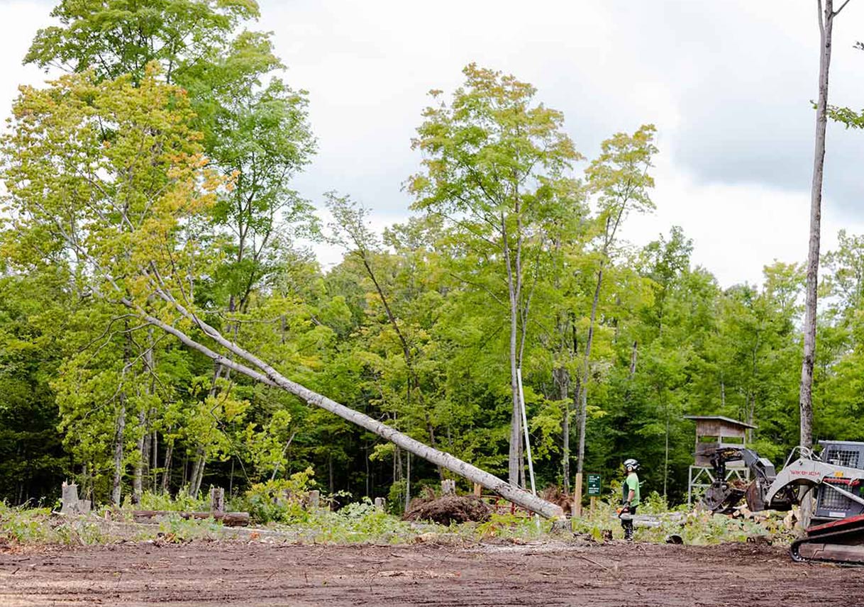 Home | Tree Care Services - Charlie's Tree Services INC